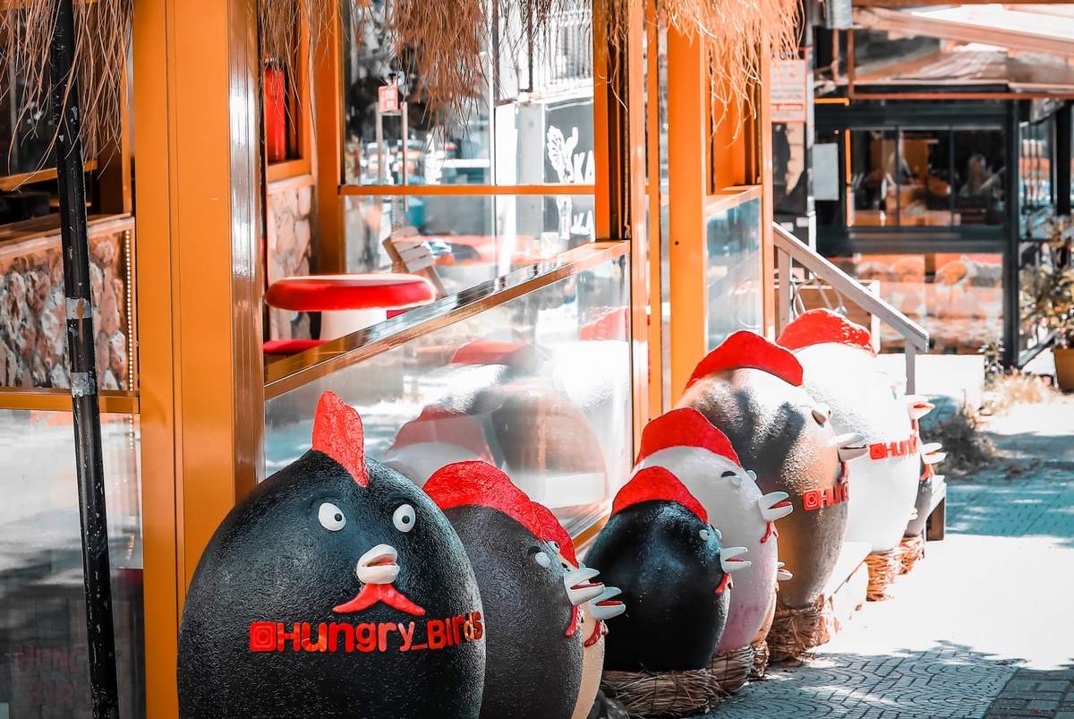 Hungry Birds, fast-food anlayışını değiştirmek istiyor | Gastronomi Dergisi